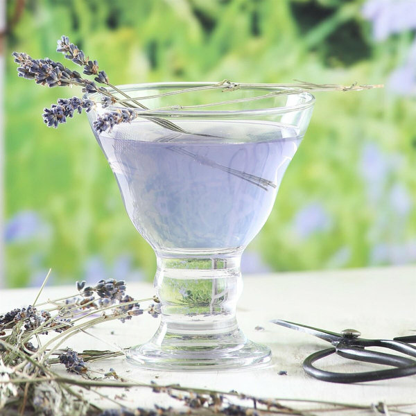 LAV 255ml Orion Glass Ice Cream Bowls - By LAV | Wayfair.co.uk